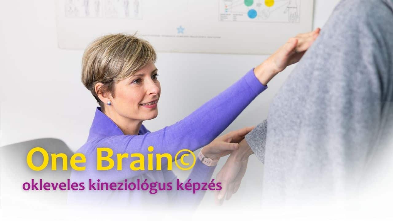 One brain© / Three in one concepts - Okleveles kineziológus képzés ...